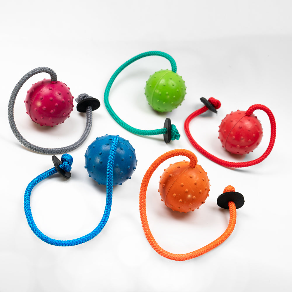 Ball mit Noppen, mit gerader Kordel und Lederstop, 3 Grössen - FRABO ...