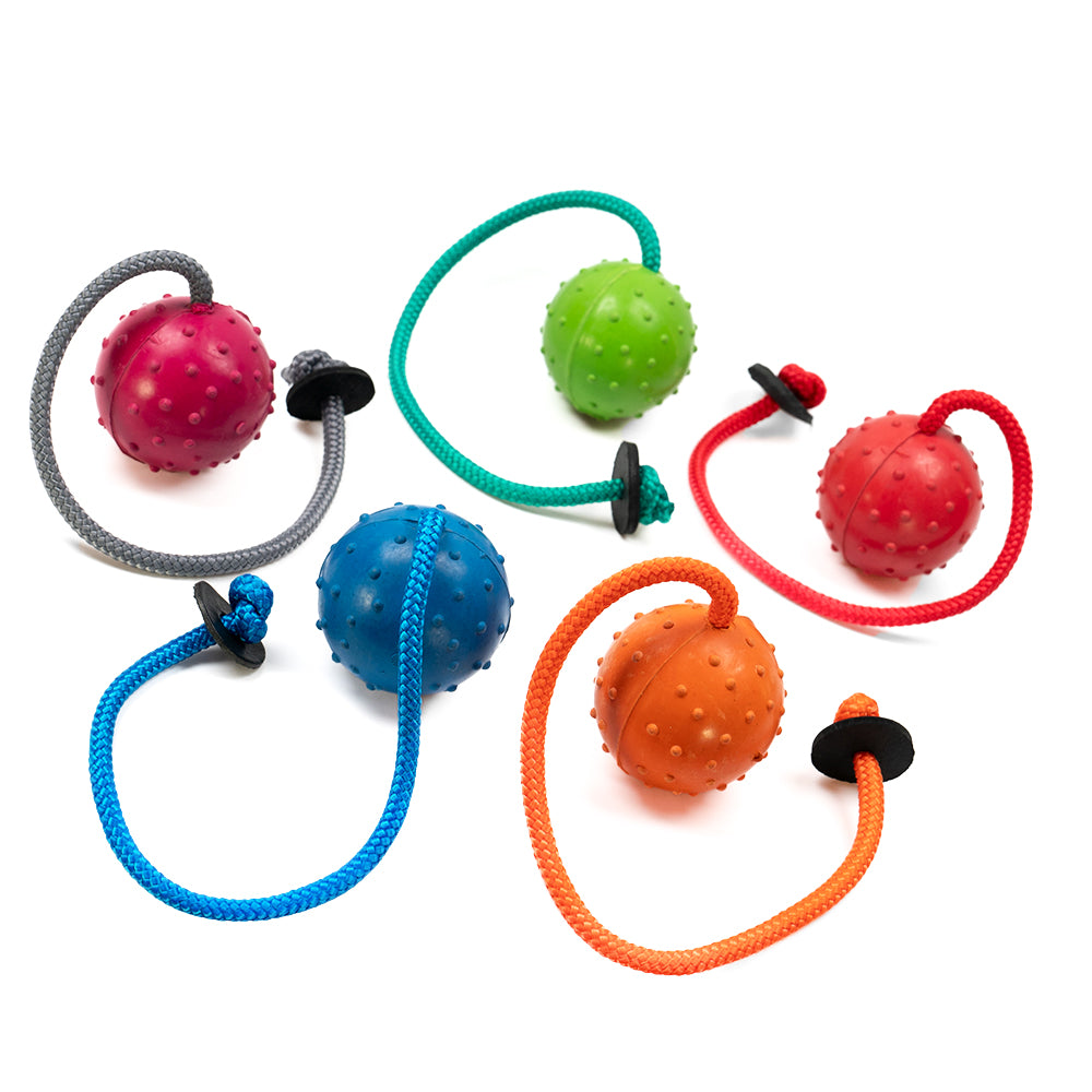 Ball mit Noppen, mit gerader Kordel und Lederstop, 3 Grössen - FRABO ...