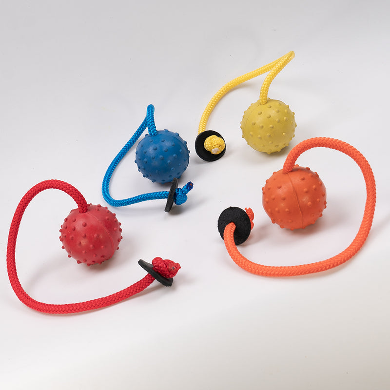 Ball mit Noppen, mit gerader Kordel und Lederstop, 3 Grössen - FRABO ...