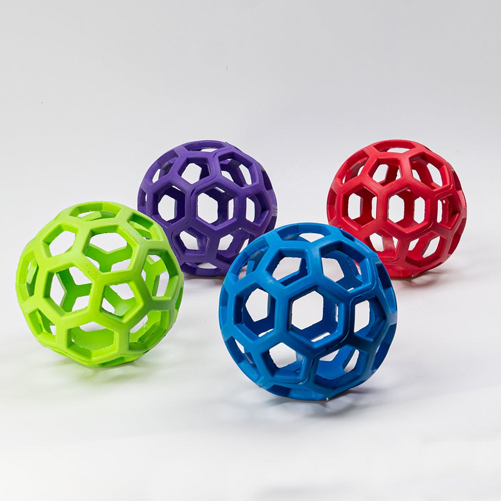 Everlasting Fun Ball