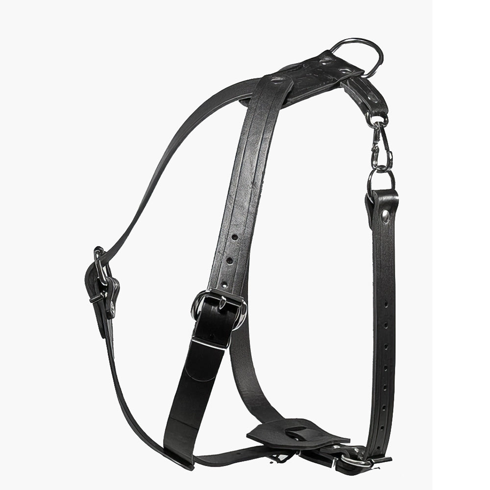 FRABO tracking harness - FRABO Hundesport