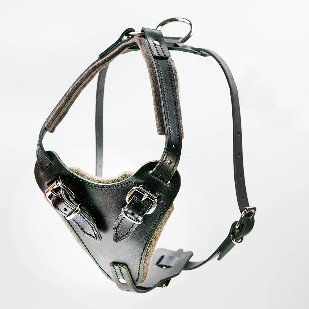 Protection-Harness FRABO Leather - FRABO HUNDESPORT