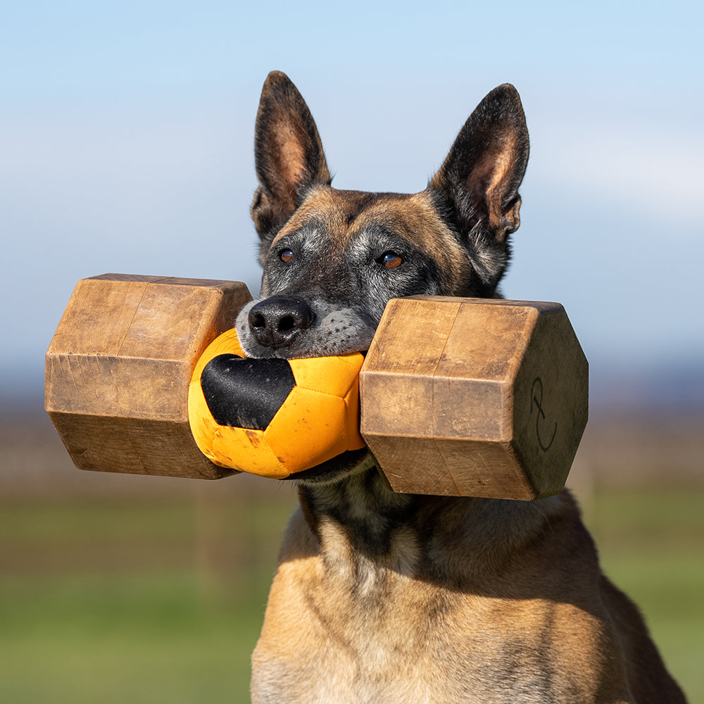 Retrieve-Balls - FRABO HUNDESPORT